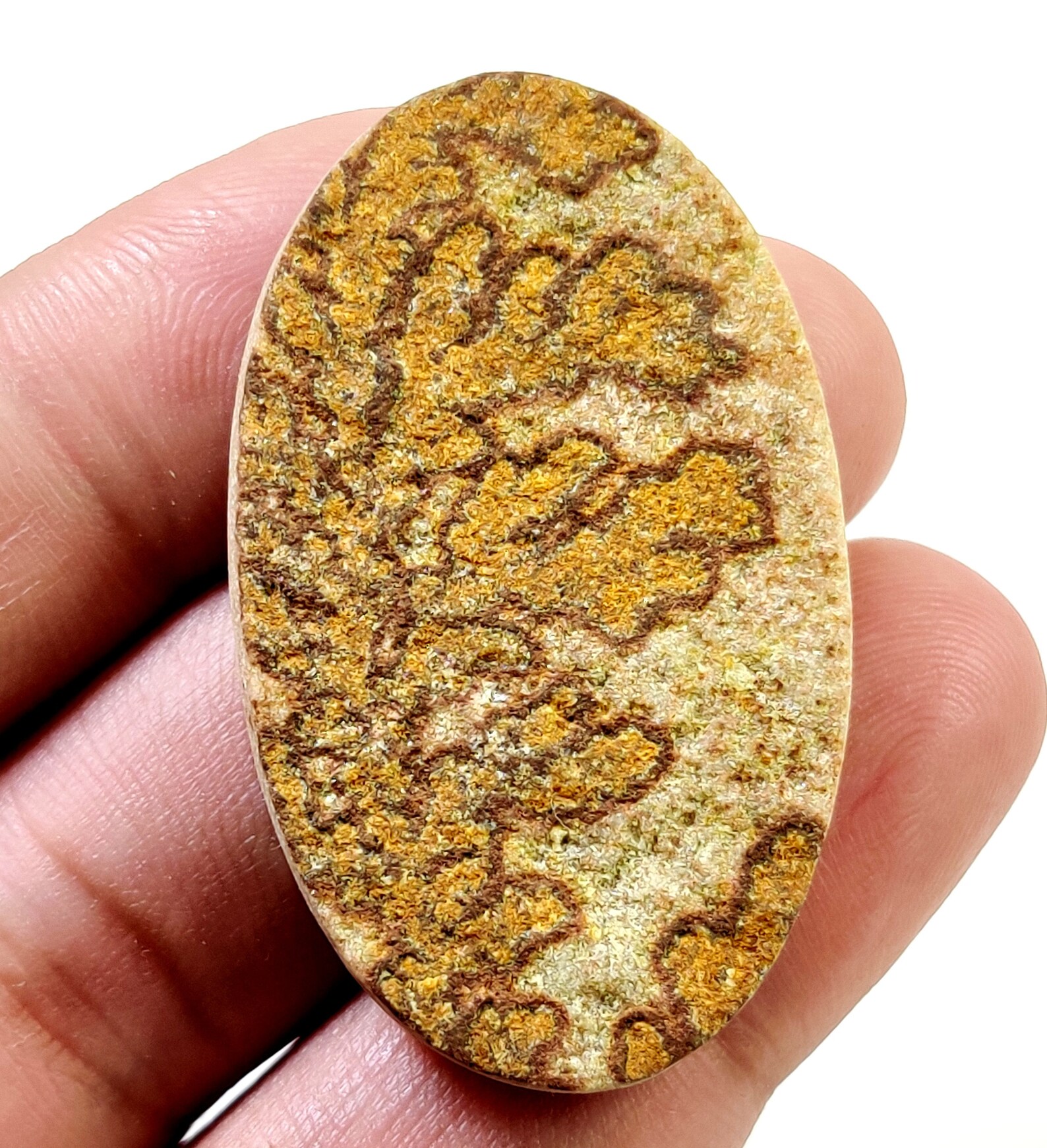 Fossil Dendrite Gemstone Oval Shape 51 Ct Natural Design - Etsy