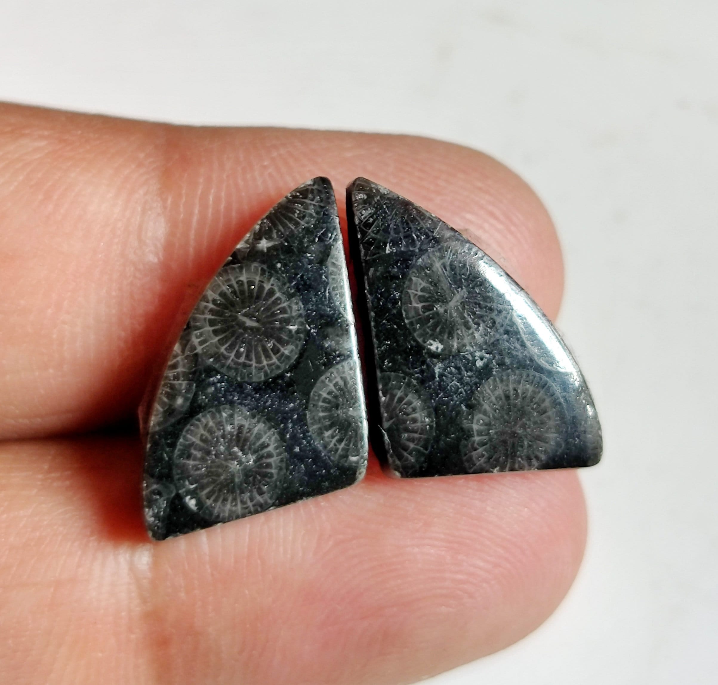 NATURAL BLACK FOSSIL Gemstone 14.50CT Good Quality Fossil - Etsy