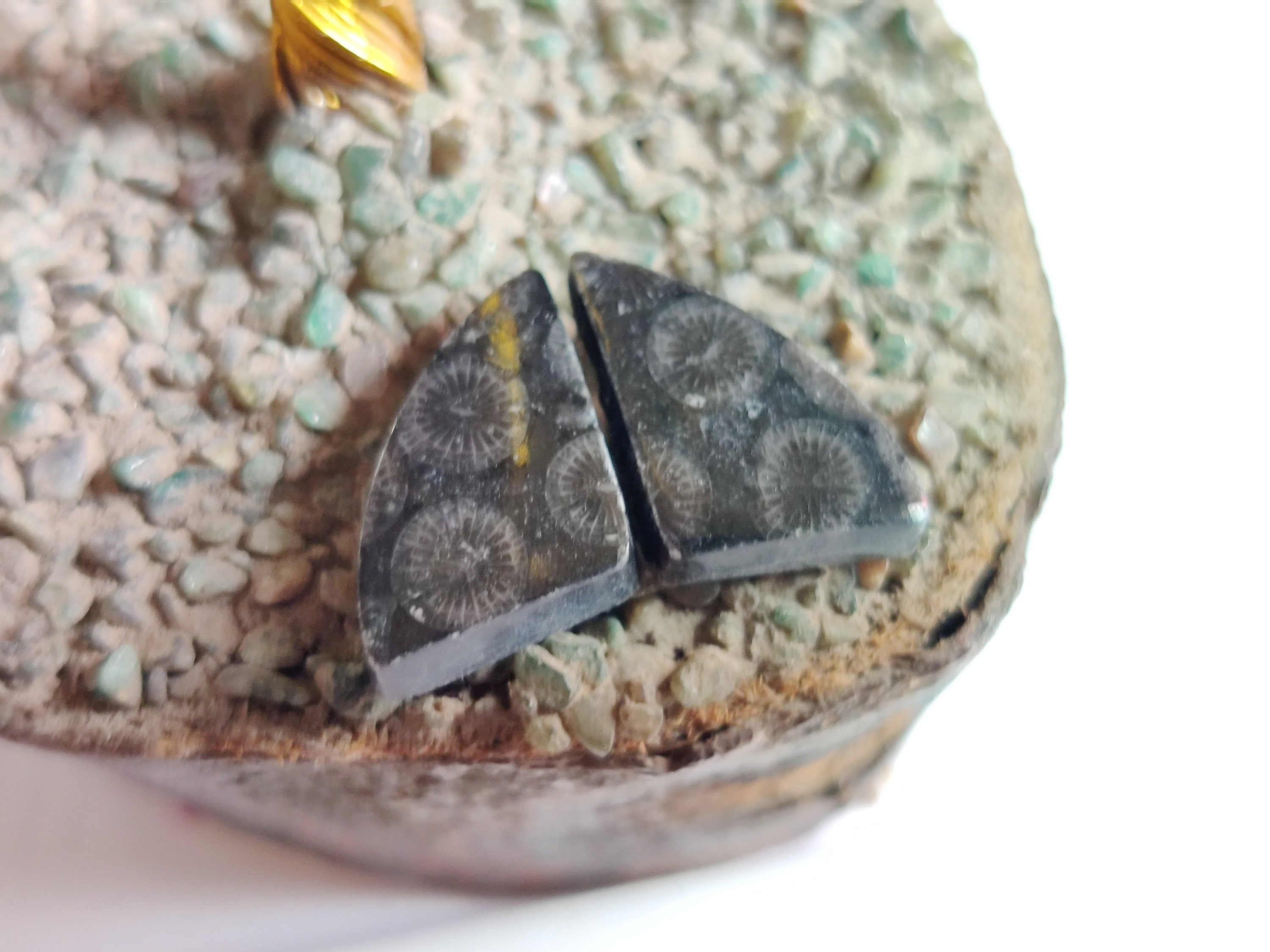 NATURAL BLACK FOSSIL Gemstone 14.50CT Good Quality Fossil - Etsy