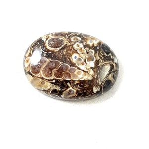 TURTELLA JASPER GEMSTONE 43.75 Ct Top Quality Turtella Jasper Smooth ...
