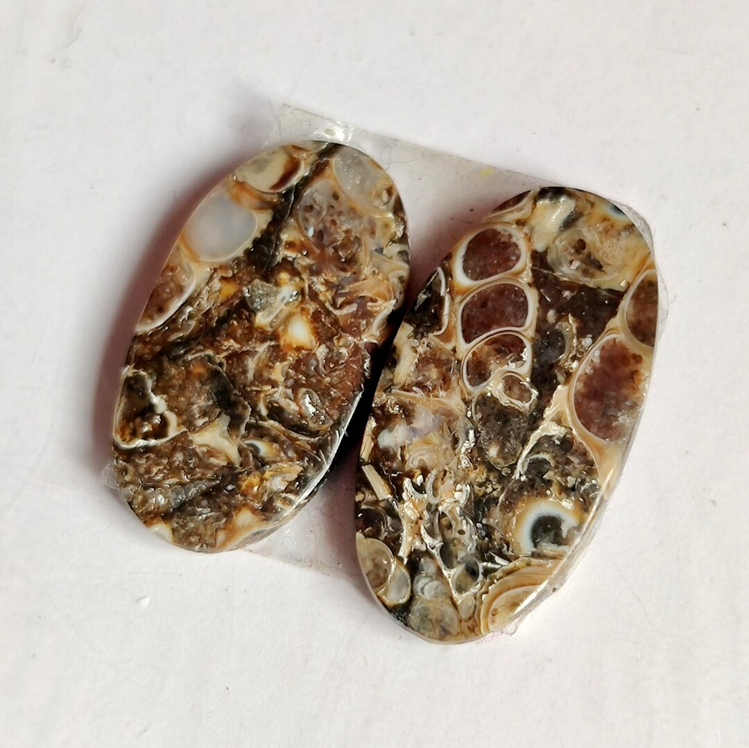 LOOSE TURTELLA JASPER Gemstone 18ct High Quality Natural Turtella ...