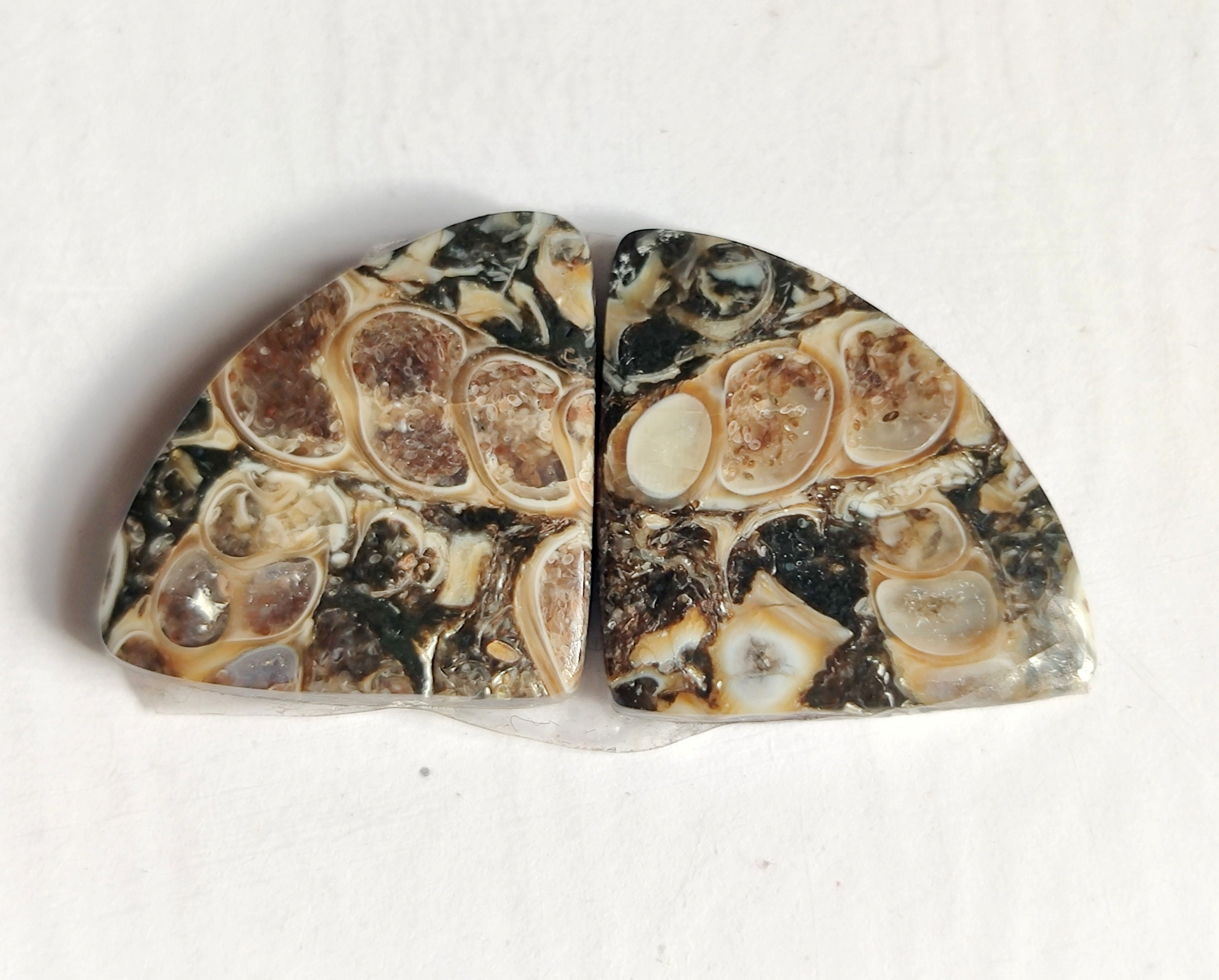 TURTELLA JASPER CABOCHON Gemstone 27ct High Quality Natural - Etsy