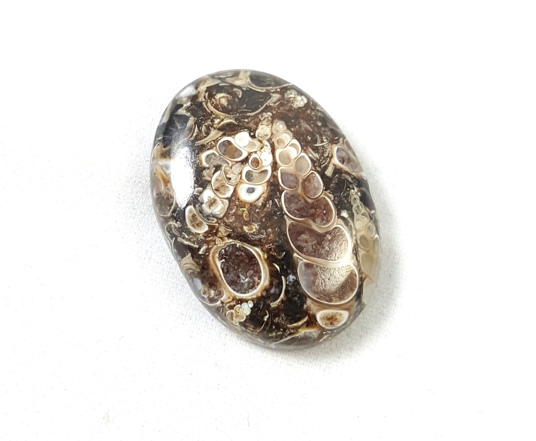 TURTELLA JASPER GEMSTONE 43.75 Ct Top Quality Turtella Jasper Smooth ...