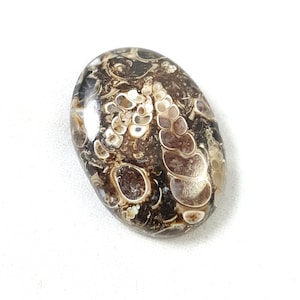 TURTELLA JASPER GEMSTONE 43.75 Ct Top Quality Turtella Jasper Smooth ...