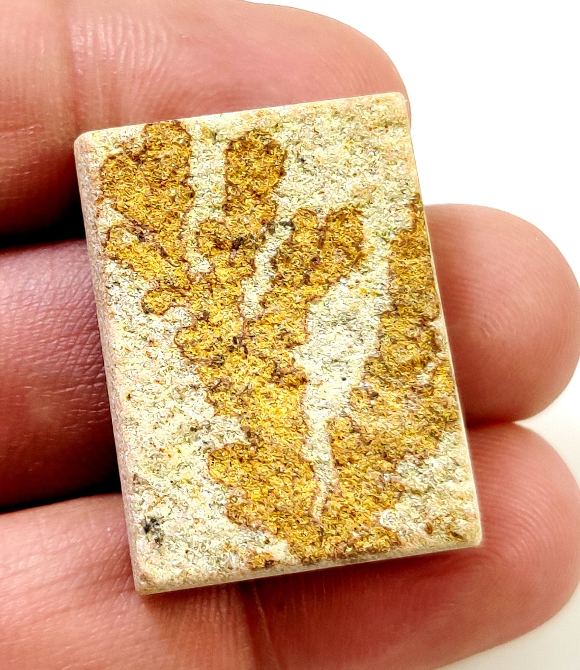 FOSSIL Dendrite Gemstone Natural Design AAA Quality Fossil Dendrite ...