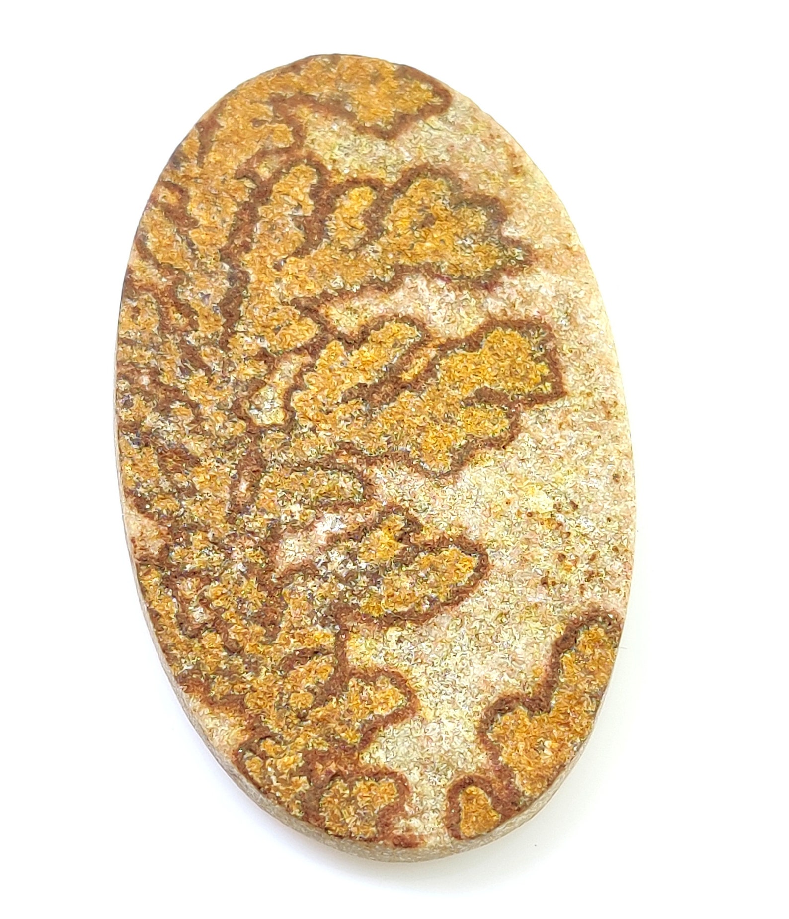 Fossil Dendrite Gemstone Oval Shape 51 Ct Natural Design - Etsy