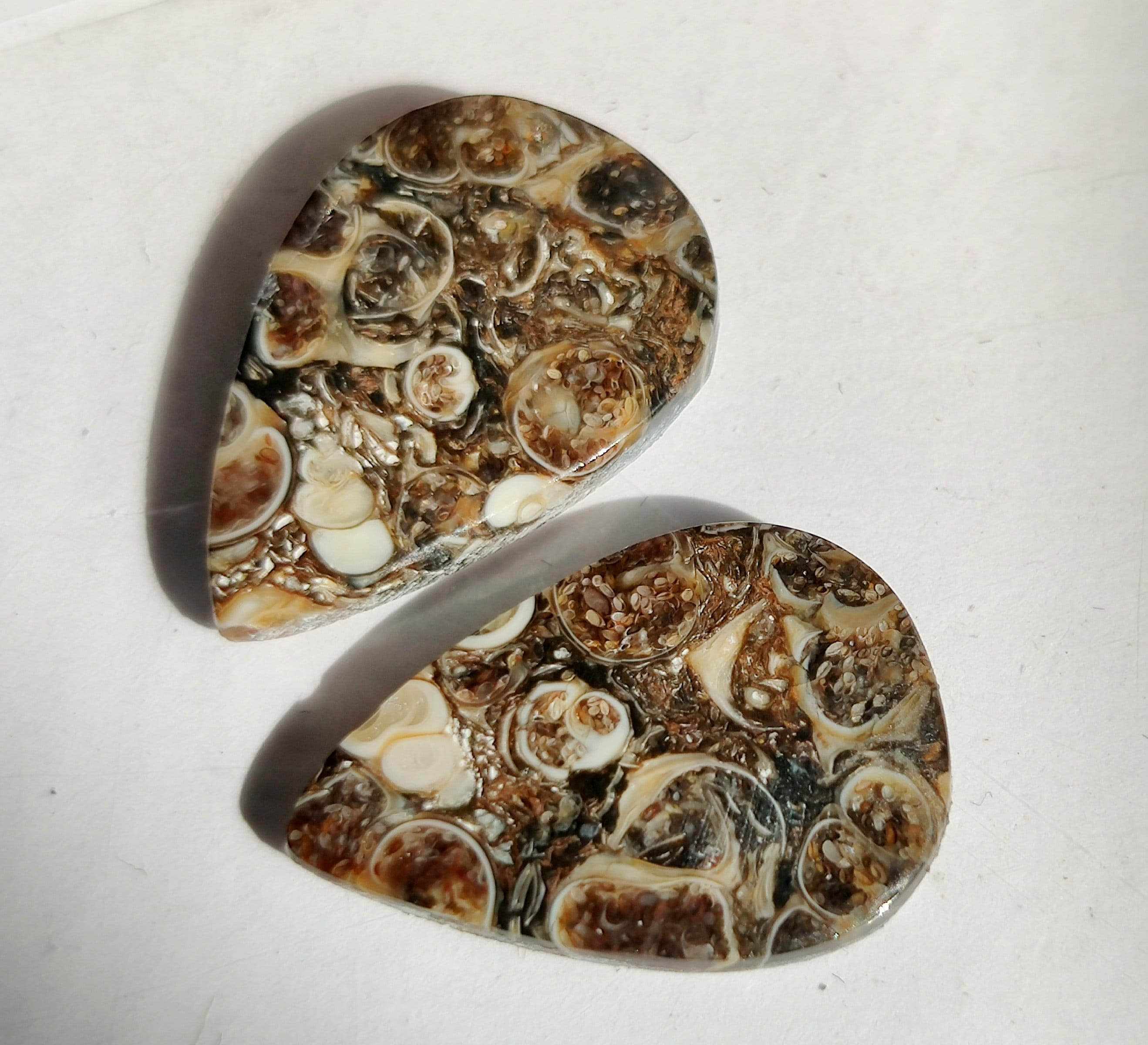 TURTELLA JASPER GEMSTONE 9CT Good Quality Natural Turtella | Etsy