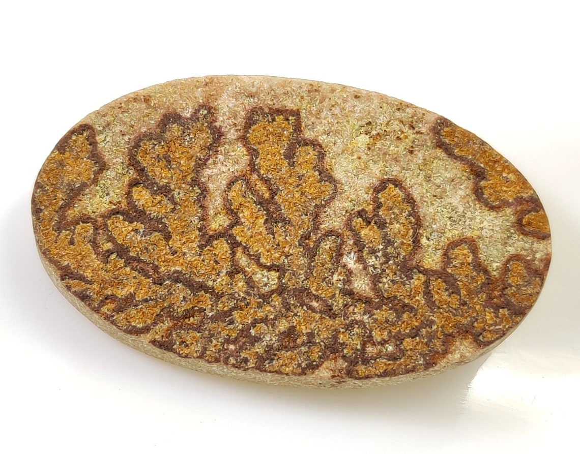 Fossil Dendrite Gemstone Oval Shape 51 Ct Natural Design - Etsy