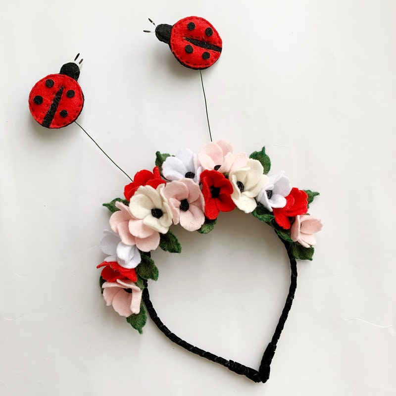 Ladybug Costume - Etsy