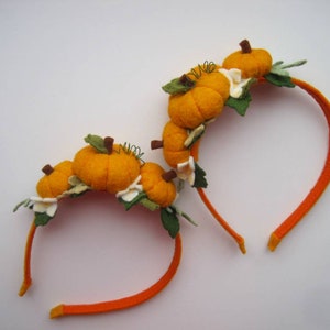 3 Pumpkin Birthday Headpiece Pumpkin Birthday Outfit Pumpkin Flower ...