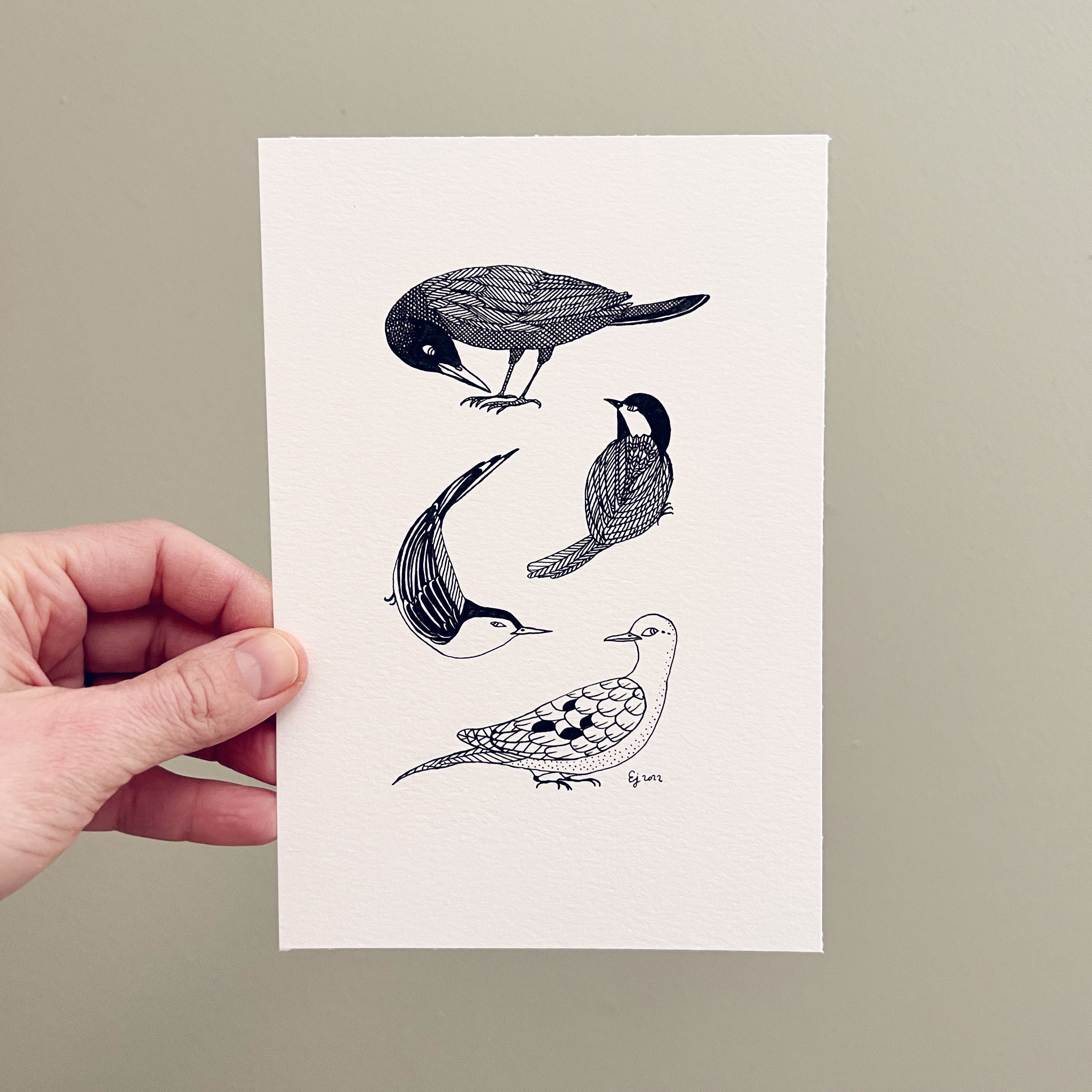 Backyard Birds | Original Art | 7"x4.75" | Pen and Ink Drawing ...