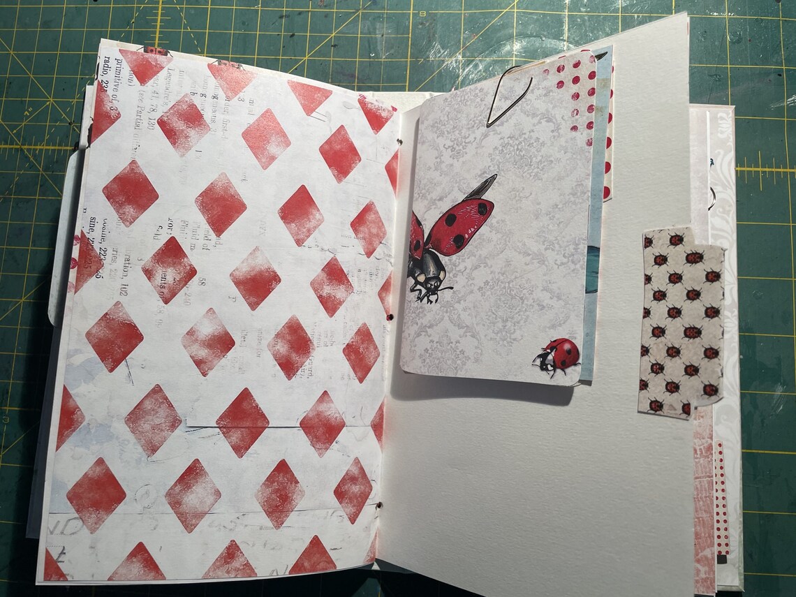 Ladybug Journal - Etsy