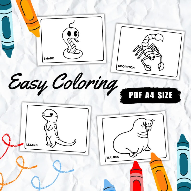 VOL. 5 Simple Animal Coloring Pages for Preschool and Kindergarten, PDF ...