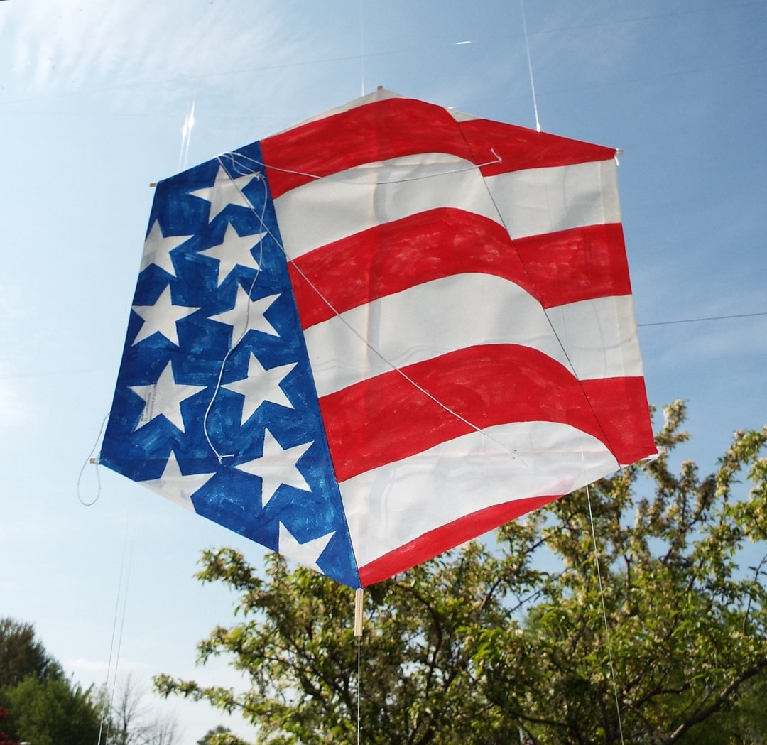 Rokkaku "hexagonal Fighter" Toy Size Kite - Japanese Kite 2019 #011 - Etsy