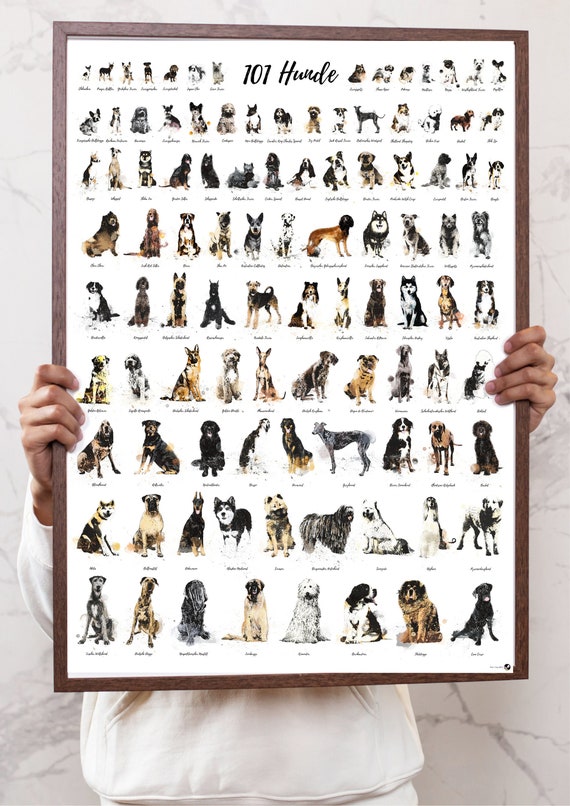 Poster 101 Dog Breeds Chart Dogs Watercolour Style Inkstyle | Etsy