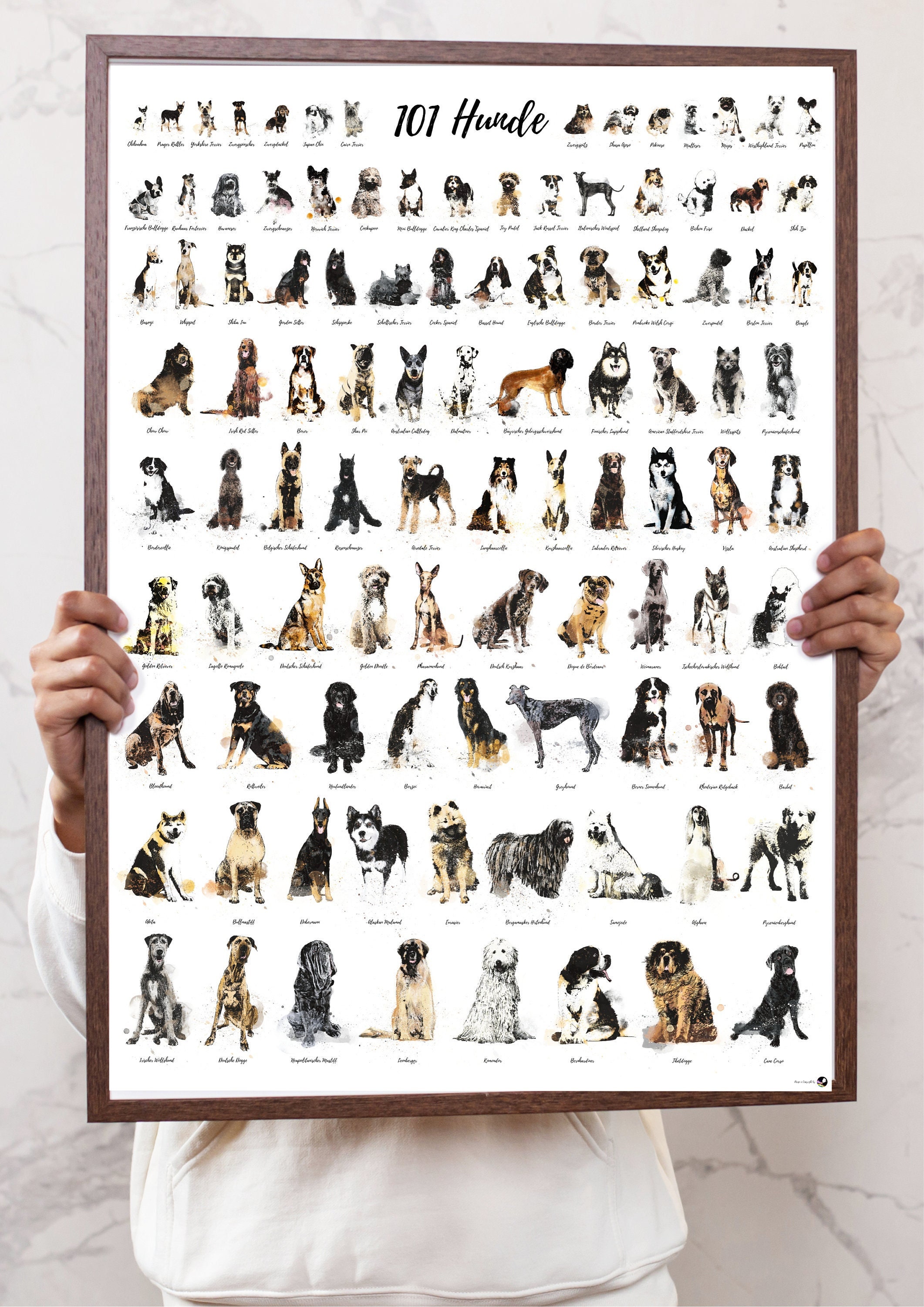 Poster 101 Dog Breeds Chart Dogs Watercolor Style Inkstyle High Quality ...