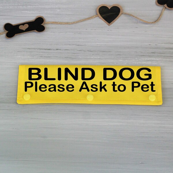 Blind Dog - Etsy