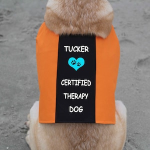 Personalized Therapy Dog Vest: Custom Name, Durable Outdoor Fabric - Etsy