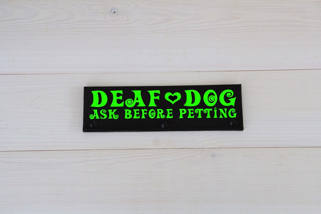 Leash Wraps Bright Collection, Fluorescent Color Fonts - Etsy