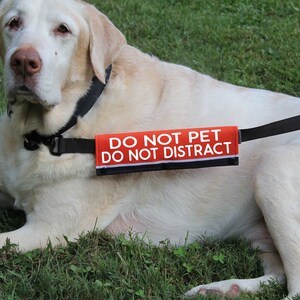 Leash Wrap, Do Not Pet Do Not Distract, Dog Gear, Leash Sleeves ...