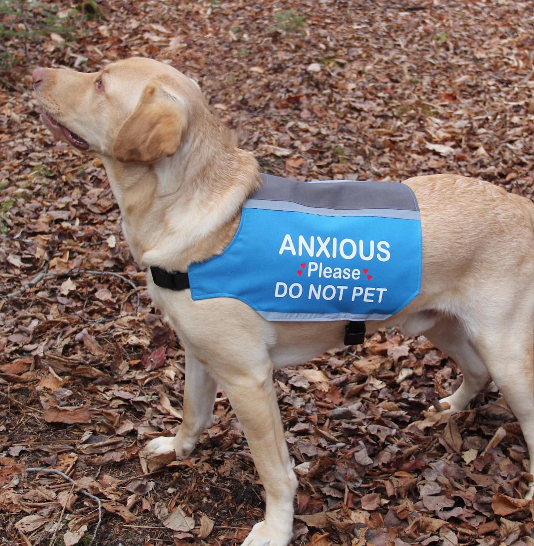 Dog Vest, Anxious Dog Vest, Scared Dog Vest, Rescue Dog Gear ...