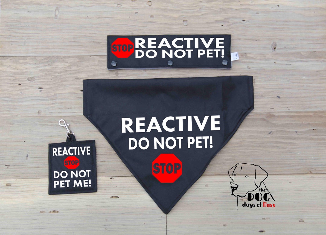 REACTIVE Do Not Pet Dog Gear Sets, Reactive Dog Gear, Leash Wrap ...