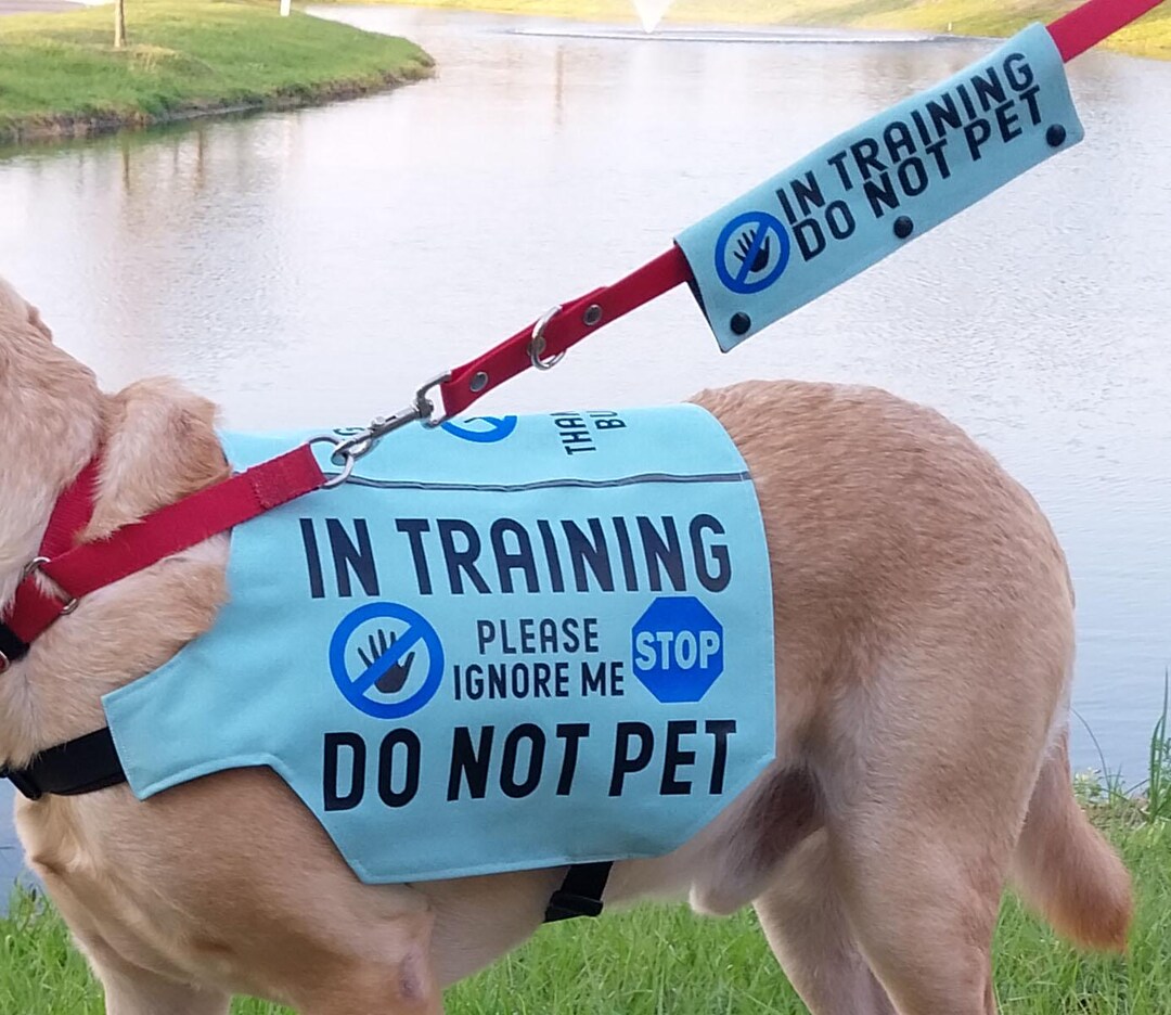 In Training Do Not Pet Dog Vest & Leash Wrap COMBO - Etsy