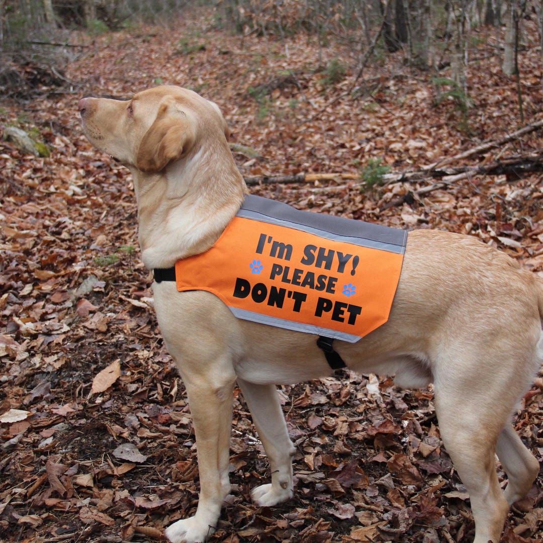 Dog Vest, Nervous Dog Vest, Shy Dog Vest, Rescue Dog Gear, Reflective ...