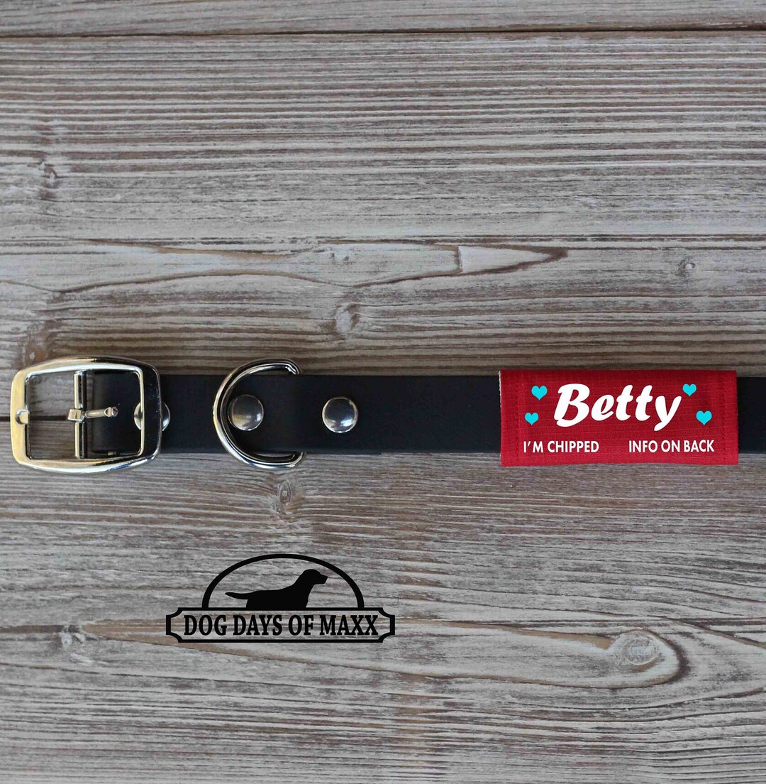 Collar Snap on Tag, Collar Id Tags, ID Tags - Etsy