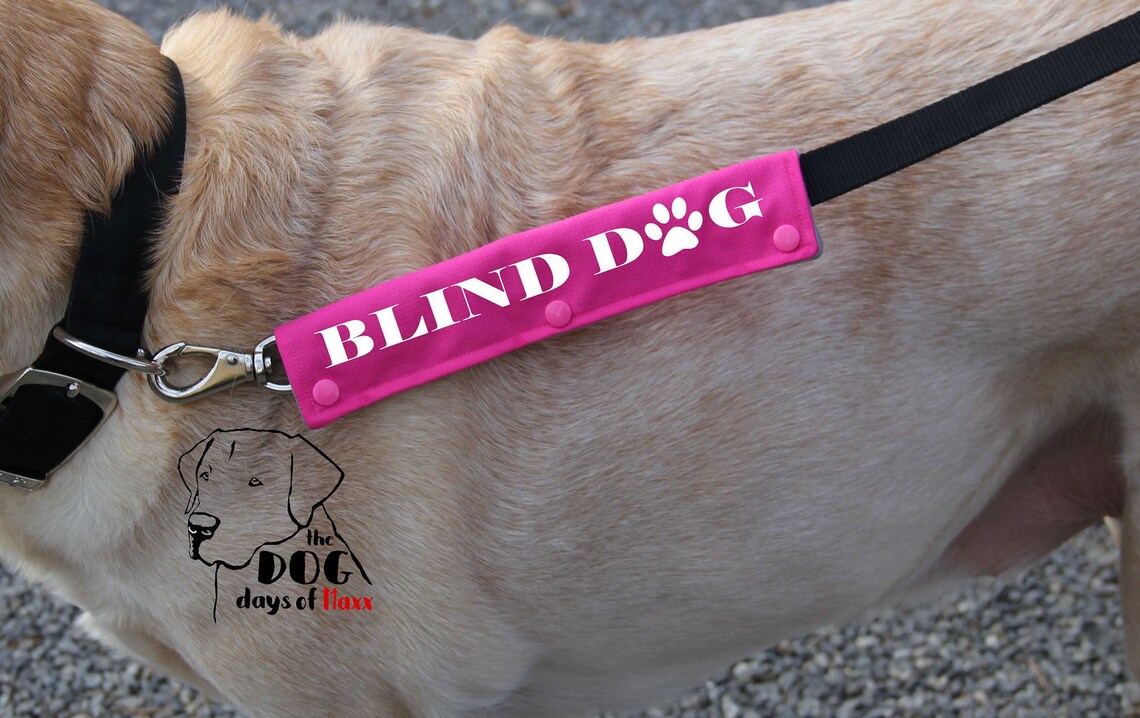 Dog Leash Sleeve Blind Dog with paw print leash wrap Slim | Etsy