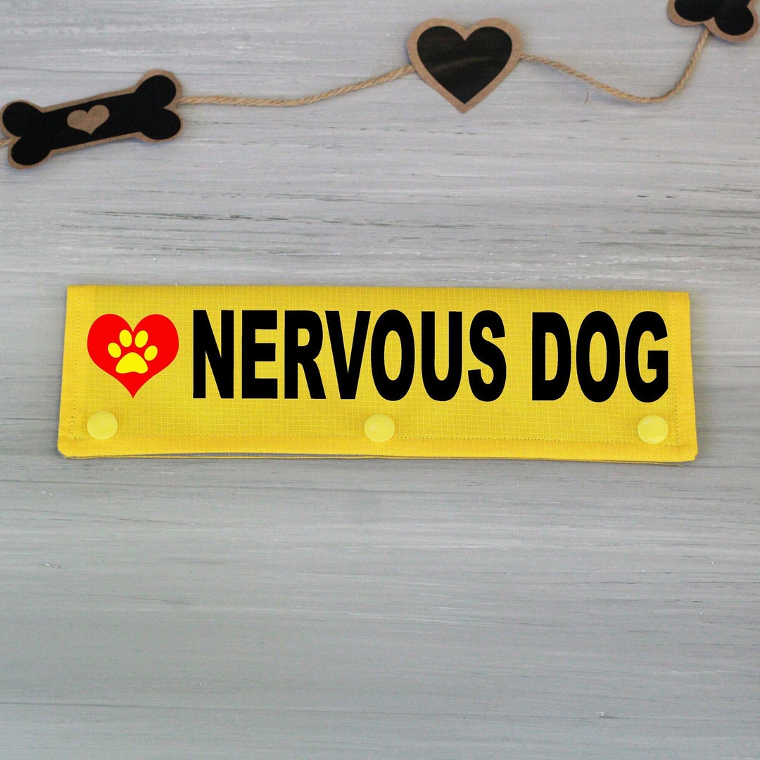 NERVOUS DOG Leash Wraps, Dog Gear, Nervous Dog Accessories, Dog Collar ...