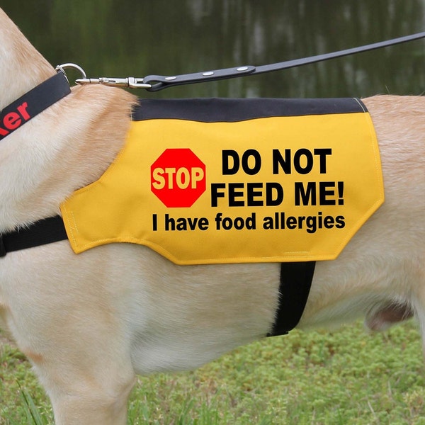 Do Not Pet Vest - Etsy