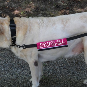 Leash Wrap, Do Not Pet Do Not Distract, Dog Gear, Leash Sleeves ...