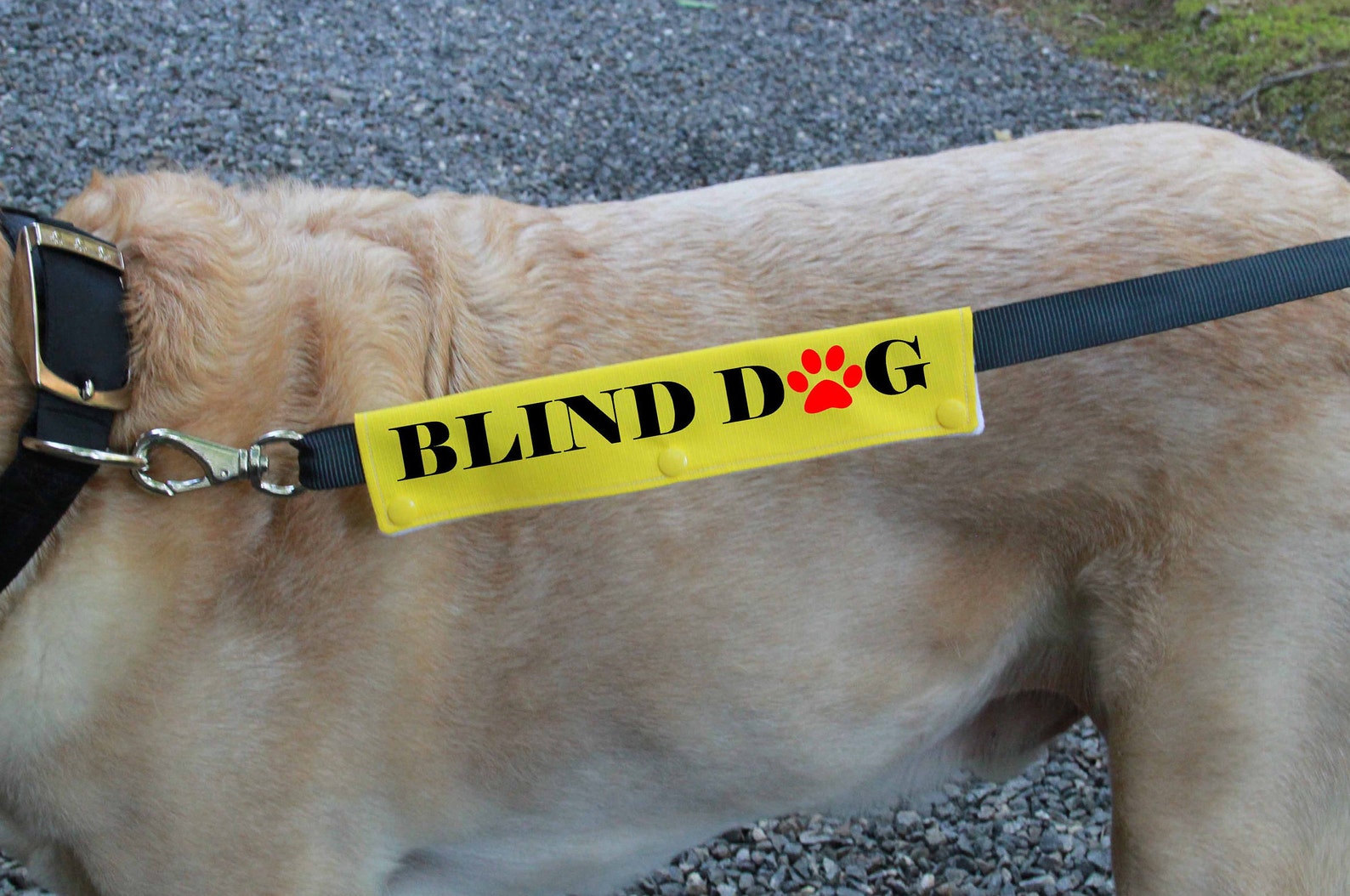 Dog Leash Sleeve, BLIND DOG With Paw Print Leash Wrap, Blind Dog Alert ...