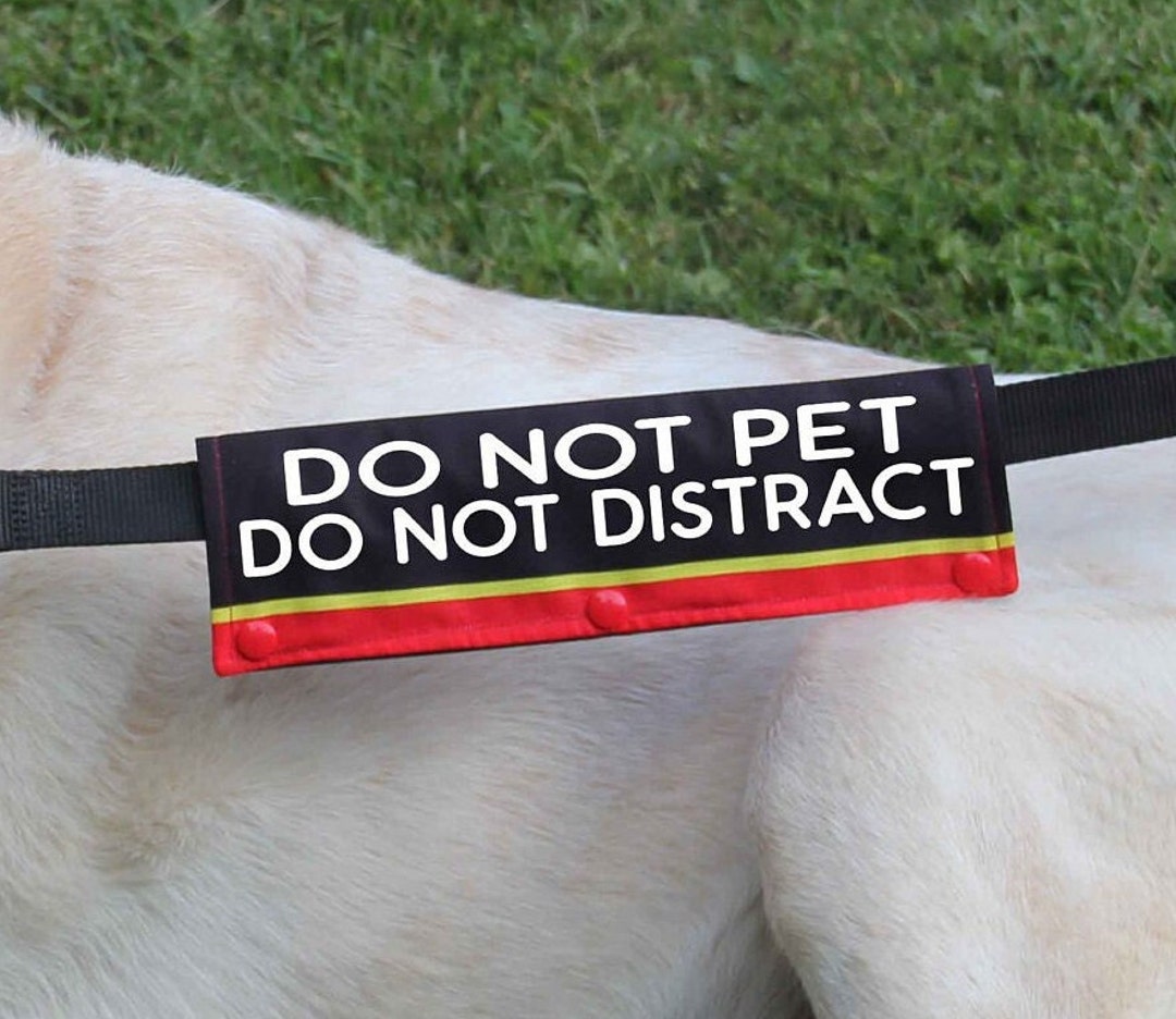 Leash Wrap, Do Not Pet Do Not Distract, Dog Gear, Leash Sleeves ...