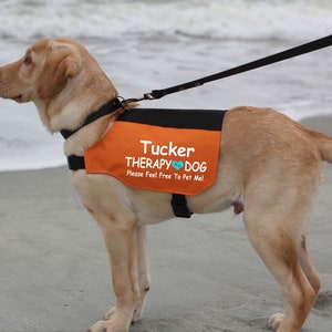 Personalized Therapy Dog Vest: Custom Name, Durable Outdoor Fabric - Etsy