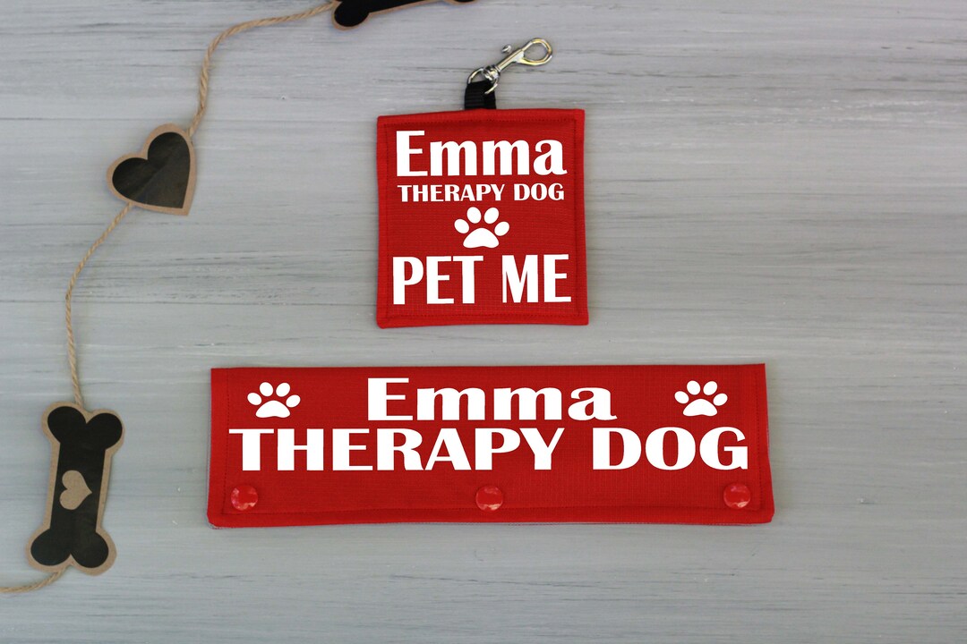 Therapy Dog Leash Wrap and Tag Set, Personalized Therapy Dog Set - Etsy