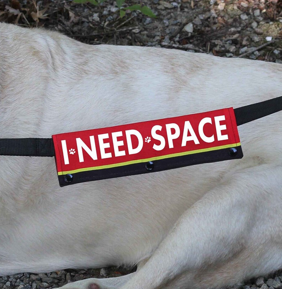 Leash Wrap, I NEED SPACE, Dog Gear, Leash Sleeves, Nervous Dogs, Rescue ...