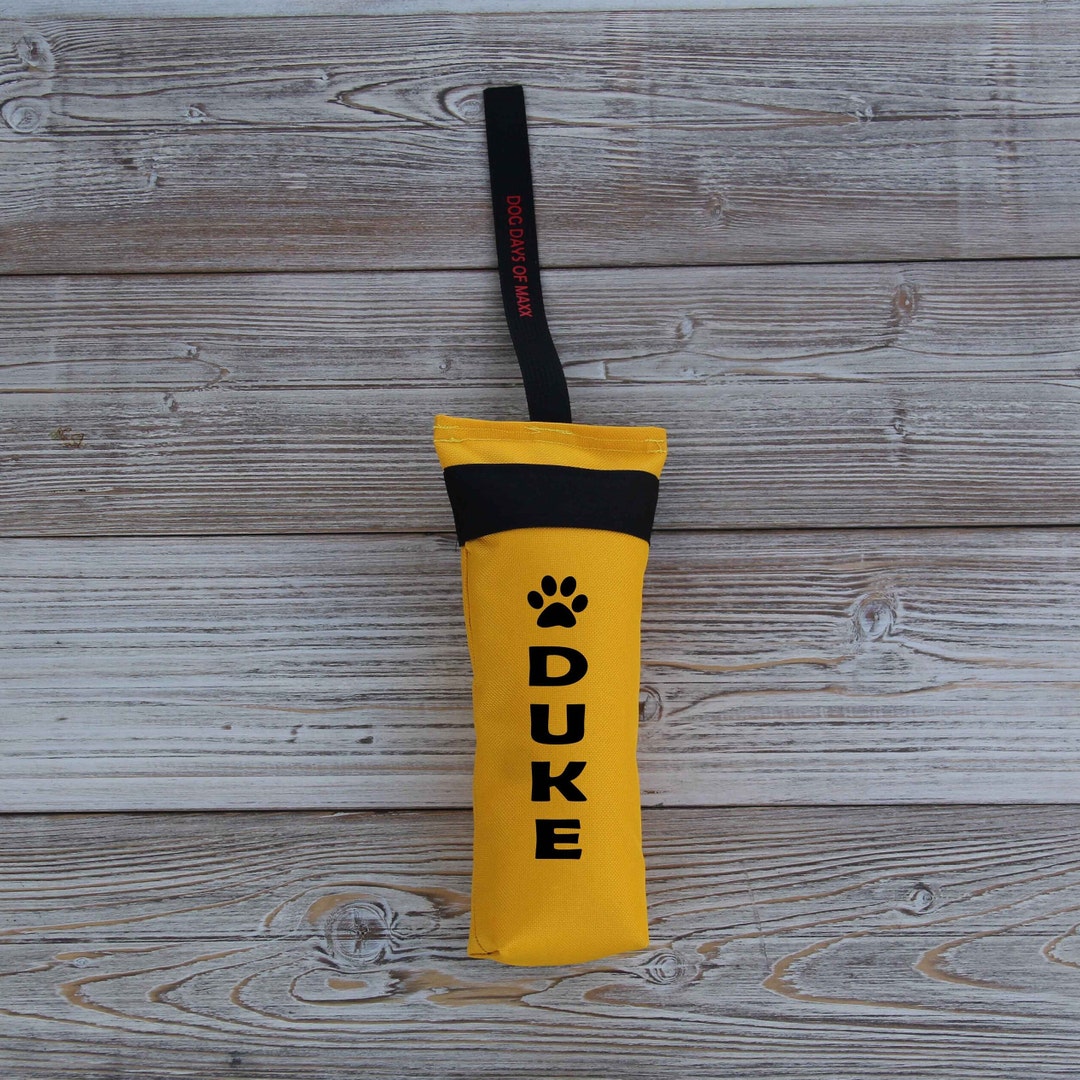 Personalized Dog Toy, Toss It Toy, Custom Dog Training Toy - Etsy