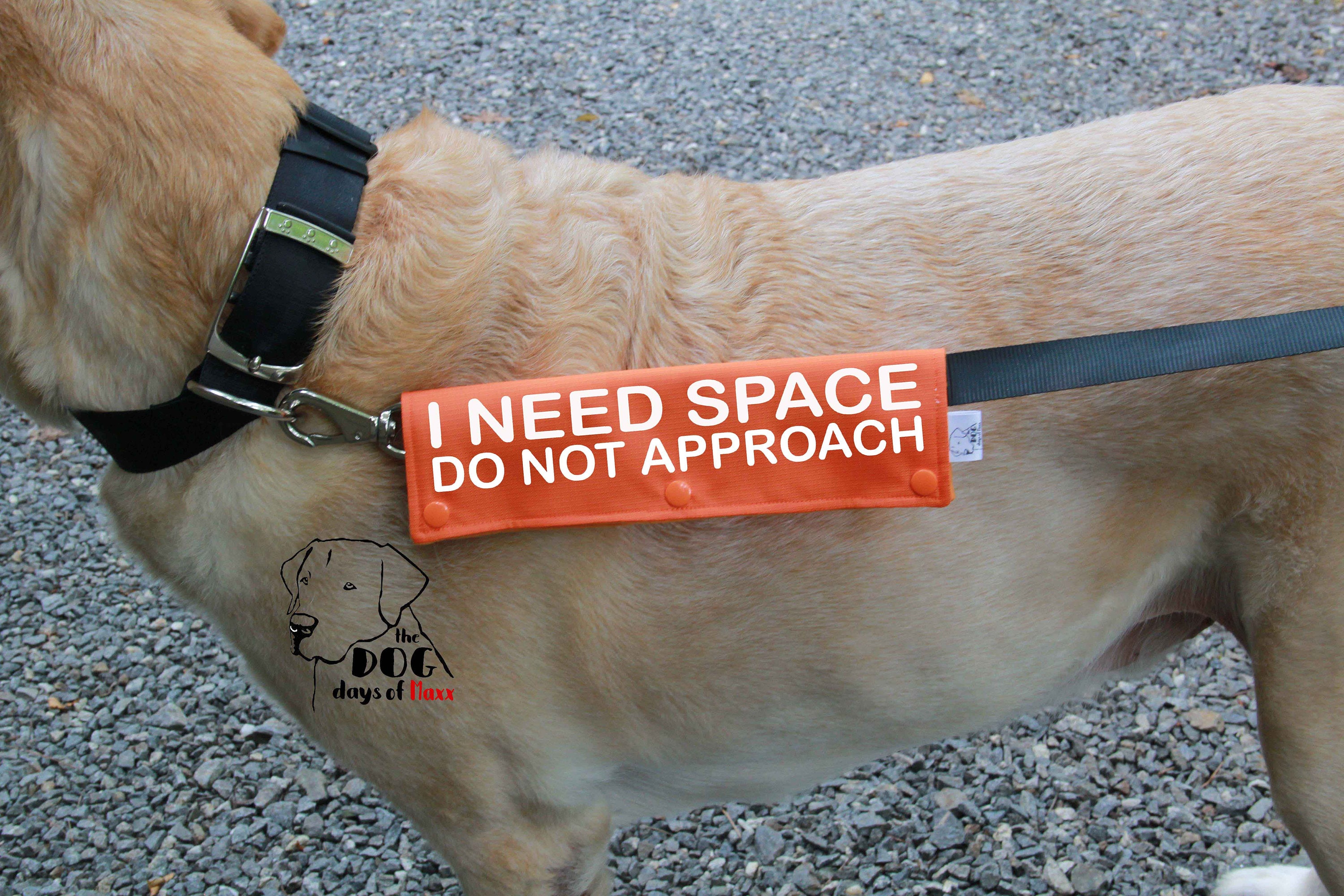 Leash Wraps Leash Sleeve Dog Leash Wraps Dog Leash | Etsy