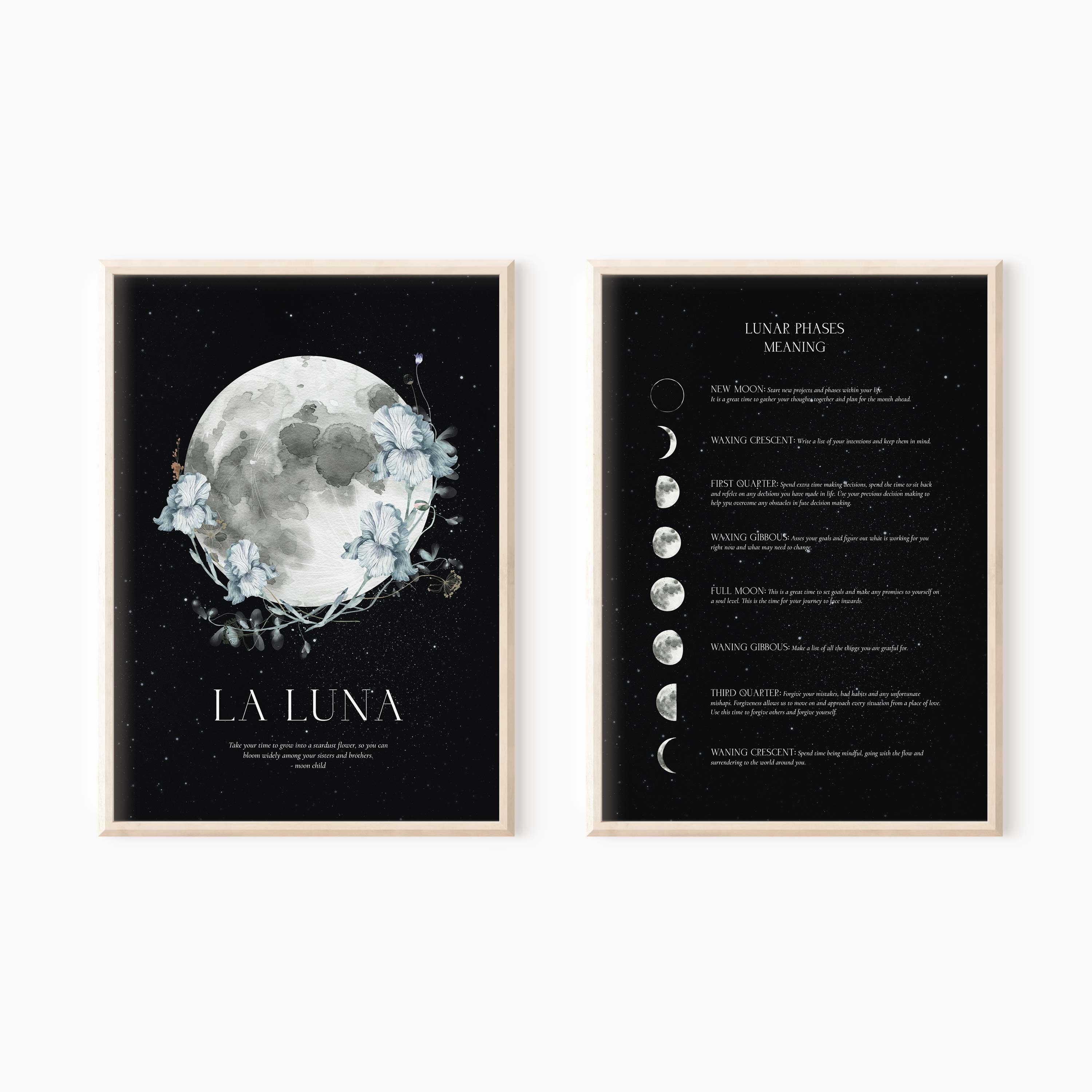 Poster Project On Moon Phases