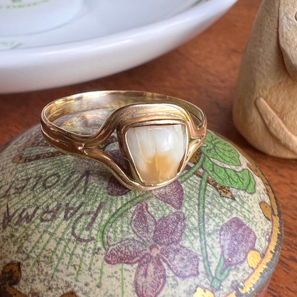 Antique Mourning Jewelry - Etsy