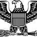 Colonel Insignia - Army - Air Force - Marines - USA - Patriotic ...