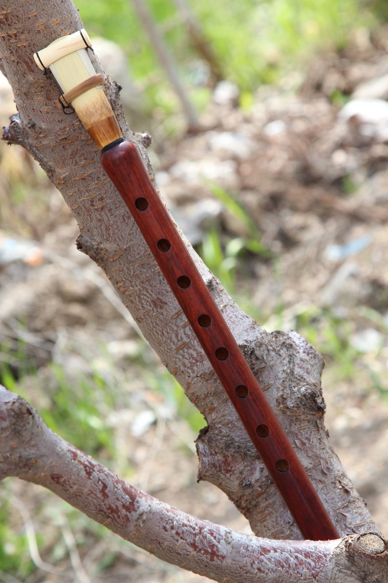 Armenian Duduk, Pro Duduk Musical Instrument, Reed, Armenian Oboe ...