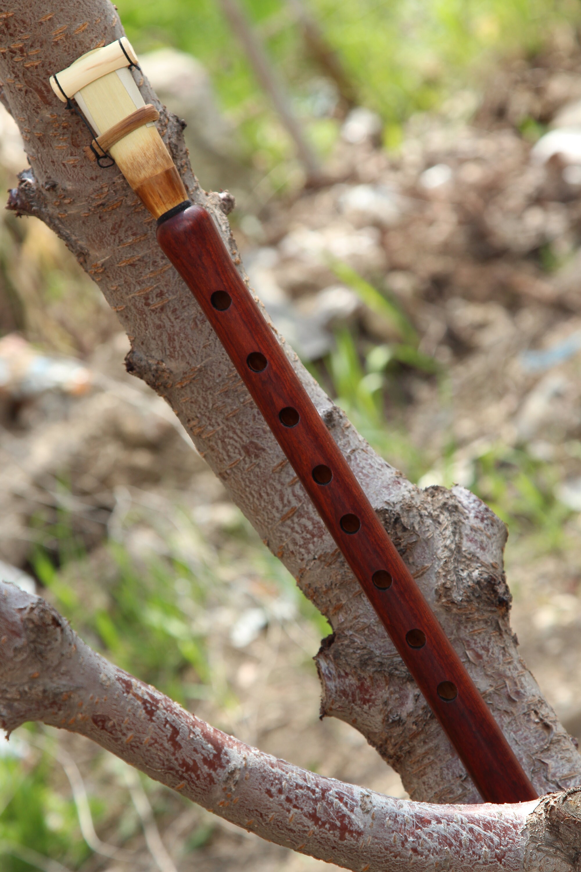 Armenian Duduk Pro Duduk Musical Instrument Reed Armenian - Etsy Ireland