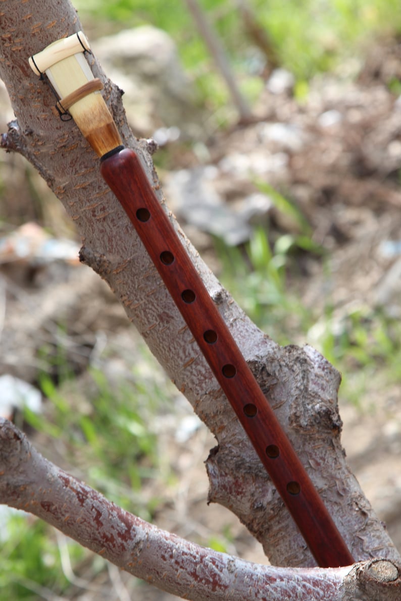 Duduk Armenian Pro Duduk Musical Instrument 3 Reeds - Etsy