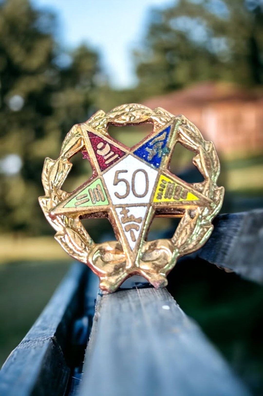 Order of the Eastern Star 50 Year Masonic Lapel Pin - Etsy
