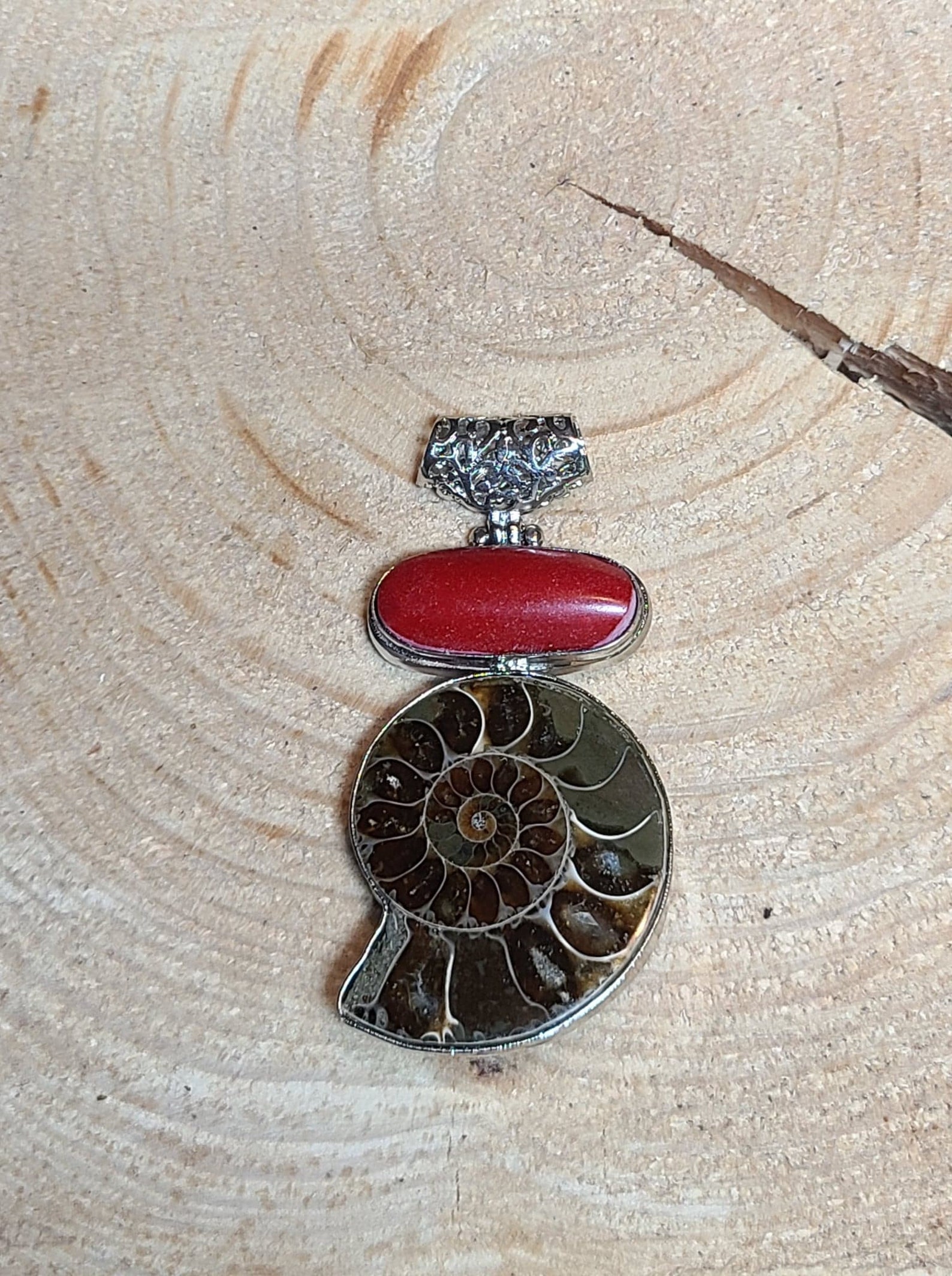 Ancient Natural Ammonite Fossil Ursula Conch Shell Coral | Etsy