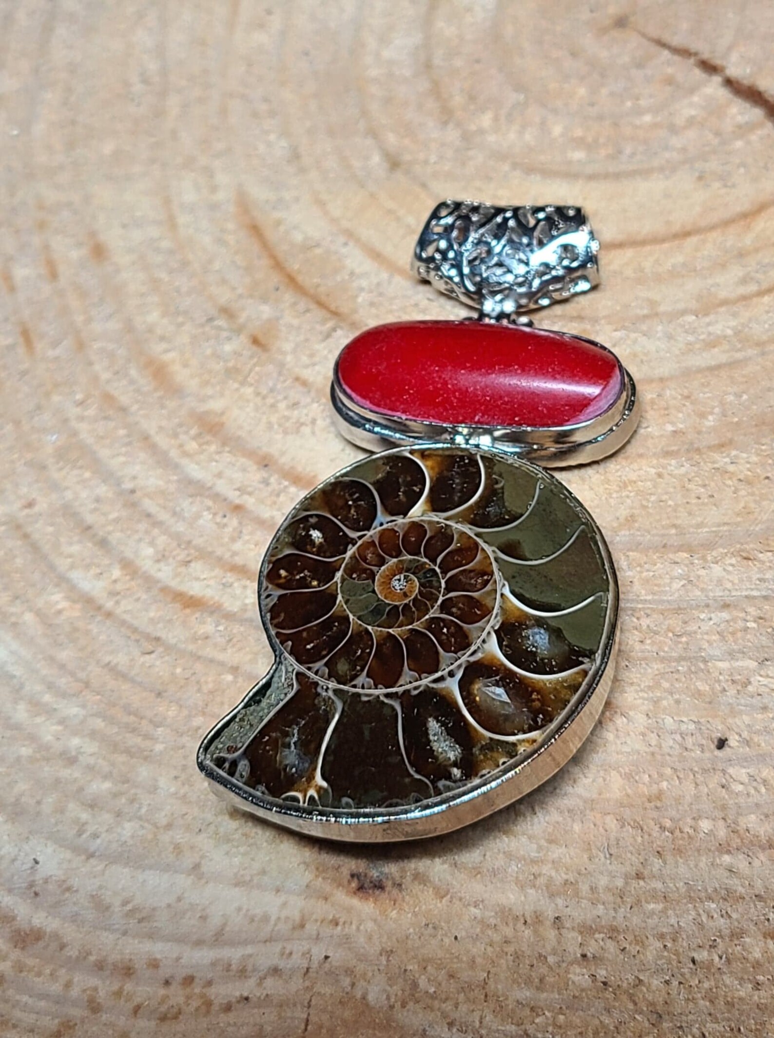 Ancient Natural Ammonite Fossil Ursula Conch Shell Coral - Etsy