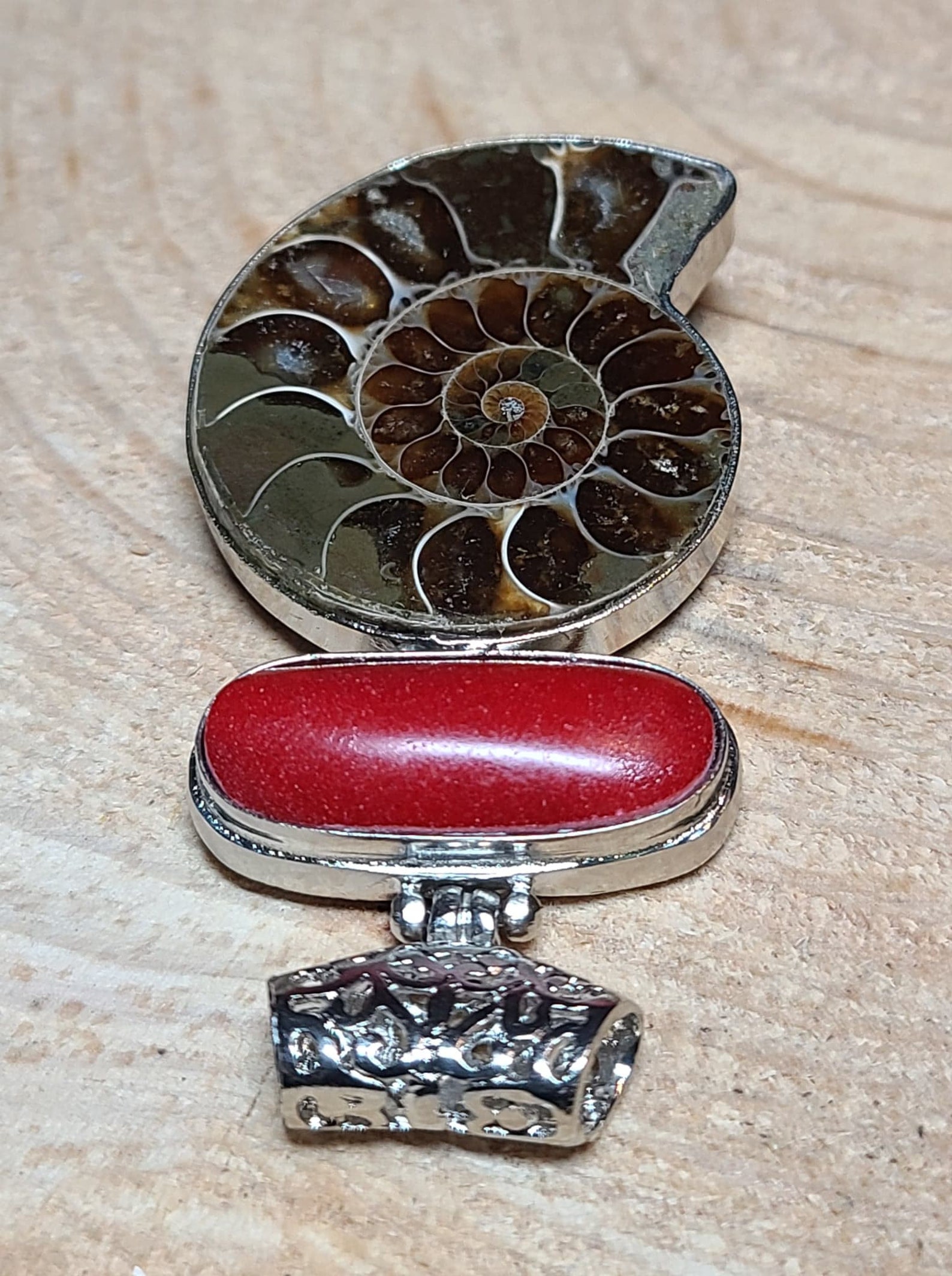 Ancient Natural Ammonite Fossil Ursula Conch Shell Coral | Etsy